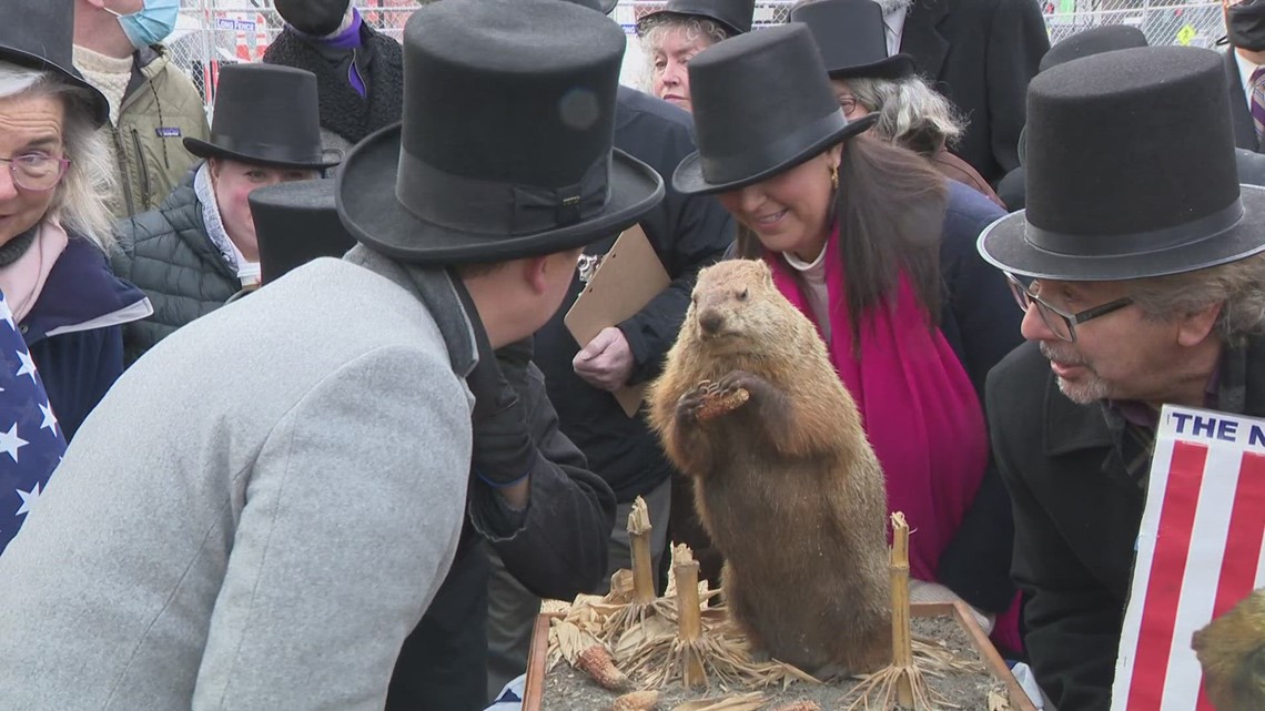 Punxsutawney Phil isn't the only show in town on Groundhog Day | wusa9.com