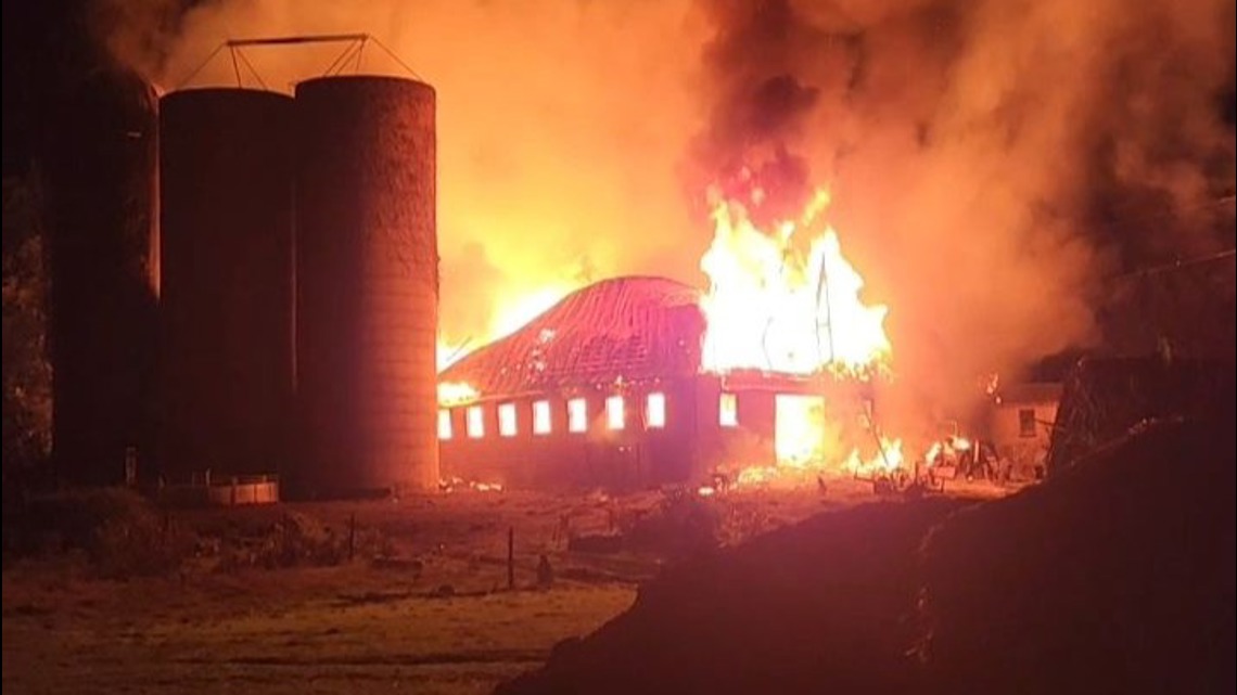 Family farm in Catlett loses 30 lambs in barn fire | wusa9.com
