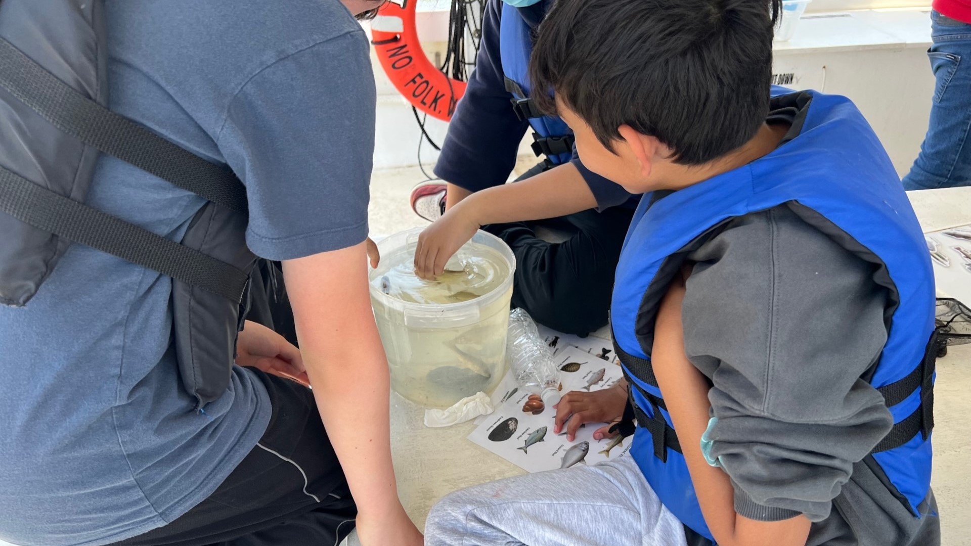 The Chesapeake Bay Foundation has been educating for 50 years | wusa9.com