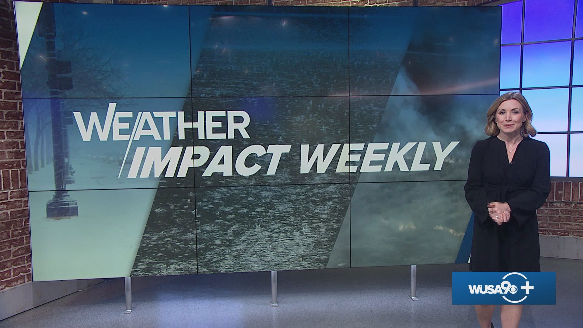 Hurricane Rafael | wusa9.com