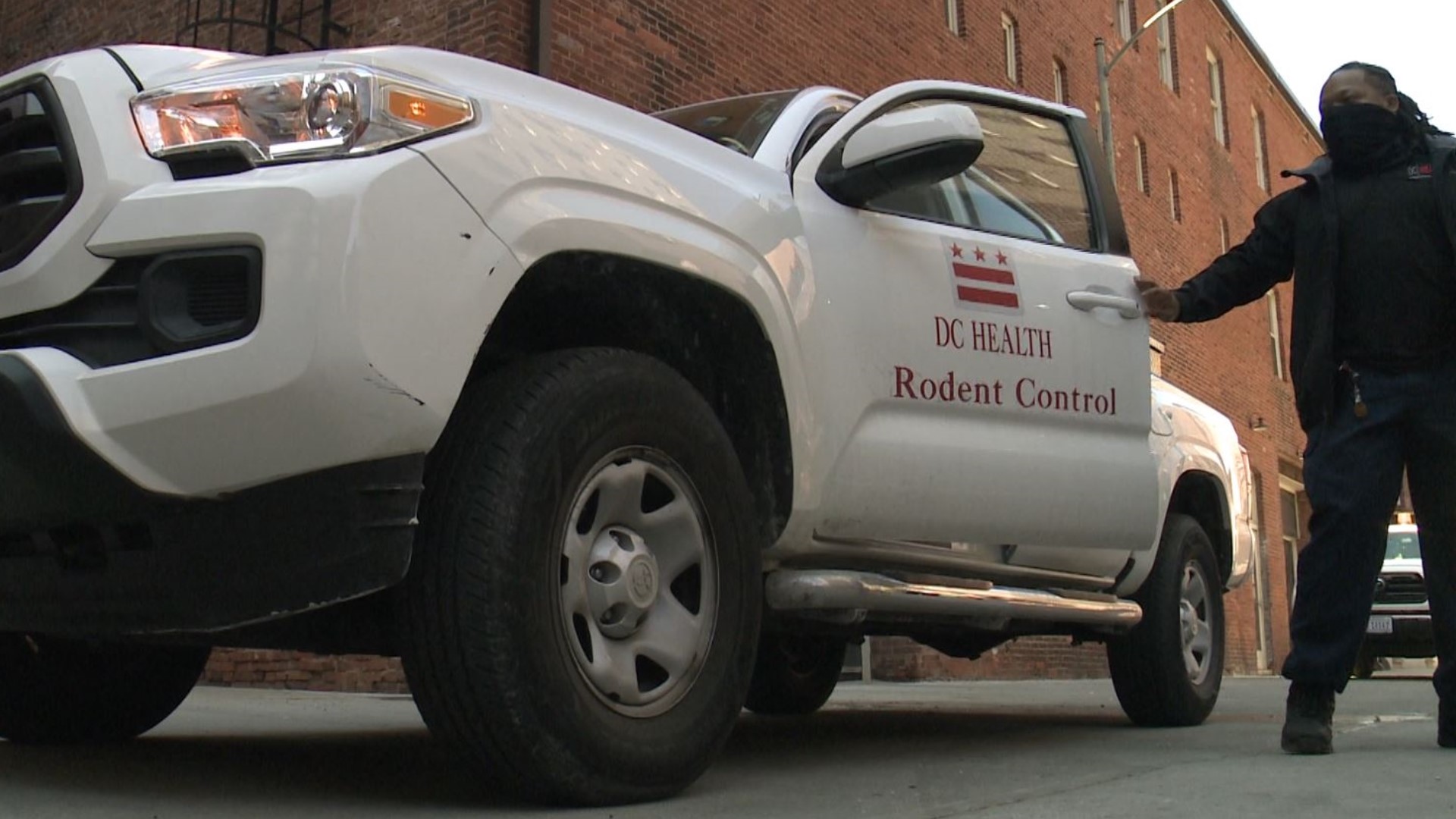 DC works to run out rats, 11,000+ complaints in recent report | wusa9.com