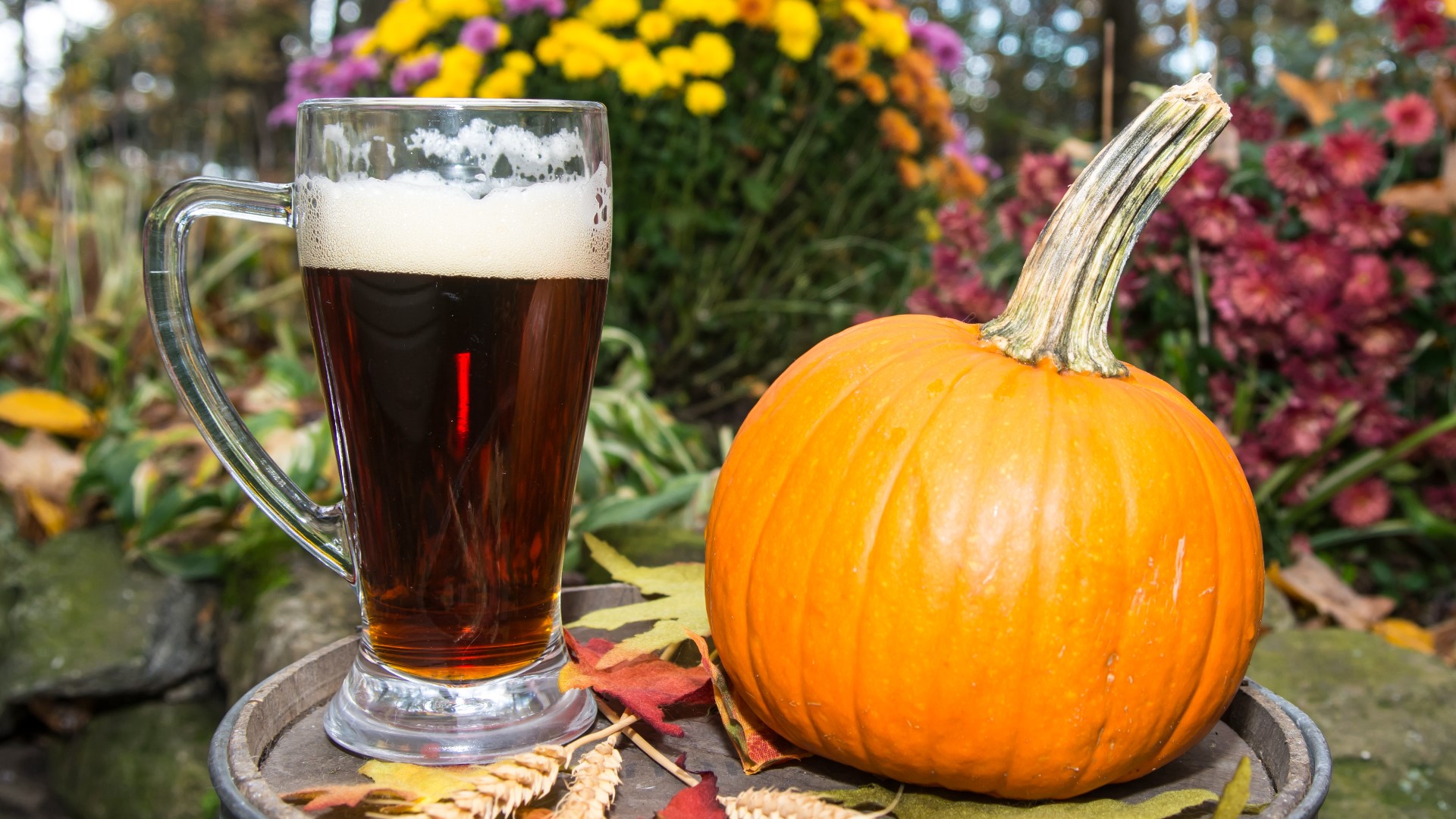 9 things to do this weekend in the DMV Oct. 7-9 | wusa9.com