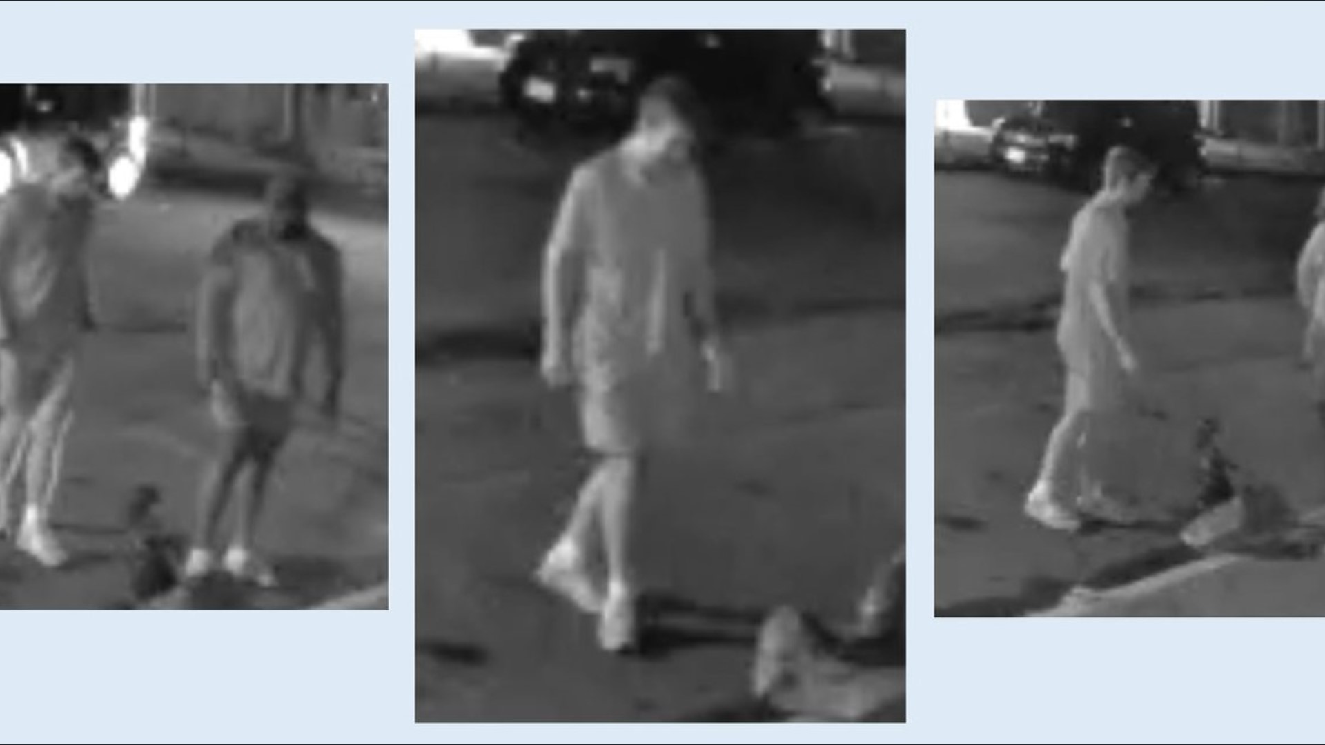 Stolen Fredericksburg otter returned | wusa9.com