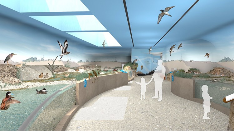 National Zoo's renovated Bird House opens March 13 | wusa9.com