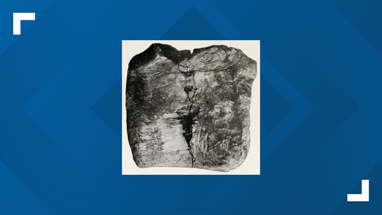 The history behind DC's official dino, the Capitalsaurus | wusa9.com