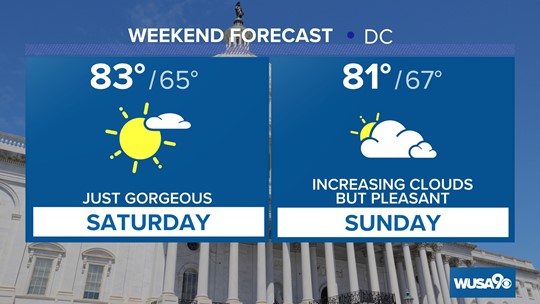 Watch | WUSA9 Live and On-Demand Videos | Washington DC | wusa9.com