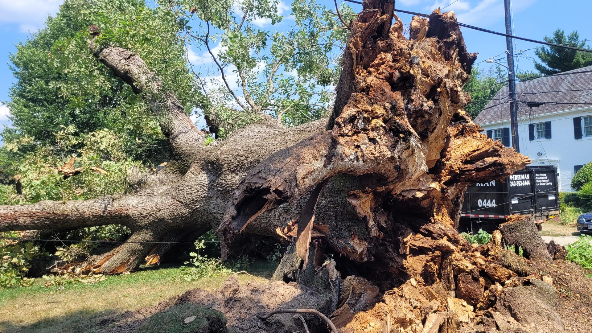 Environment | wusa9.com