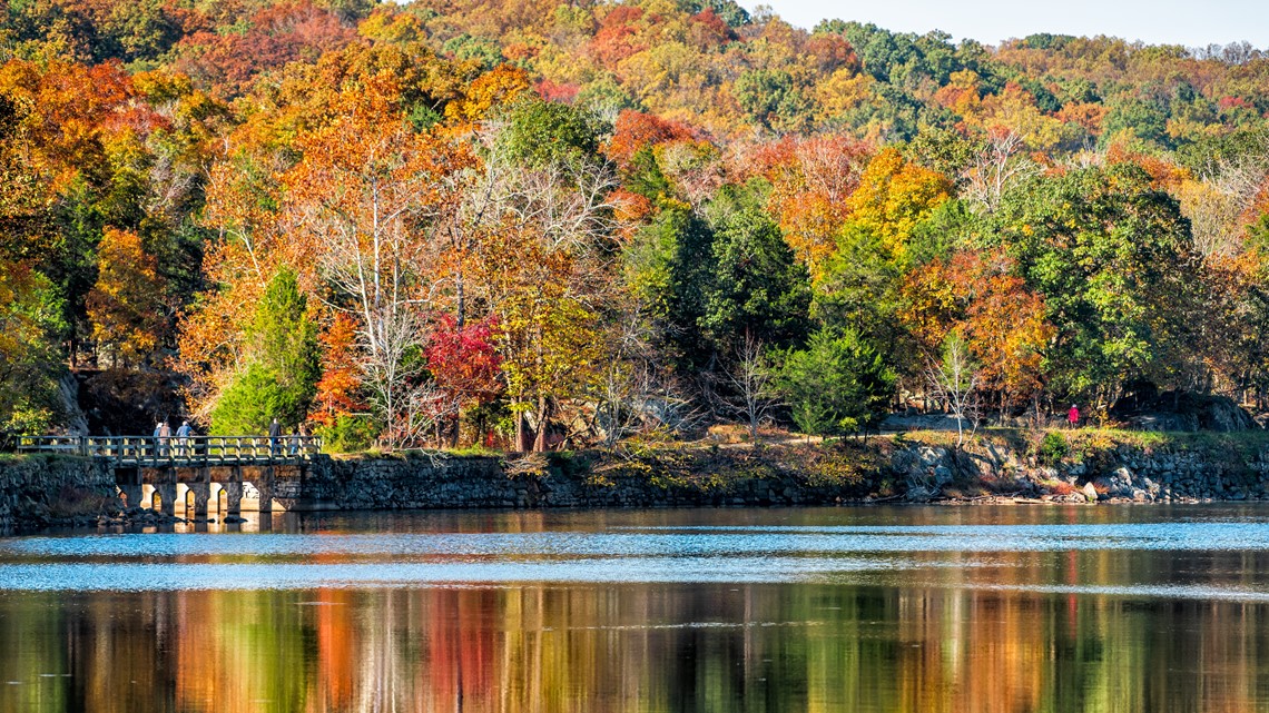 Drought impacts fall foliage in DC region | wusa9.com