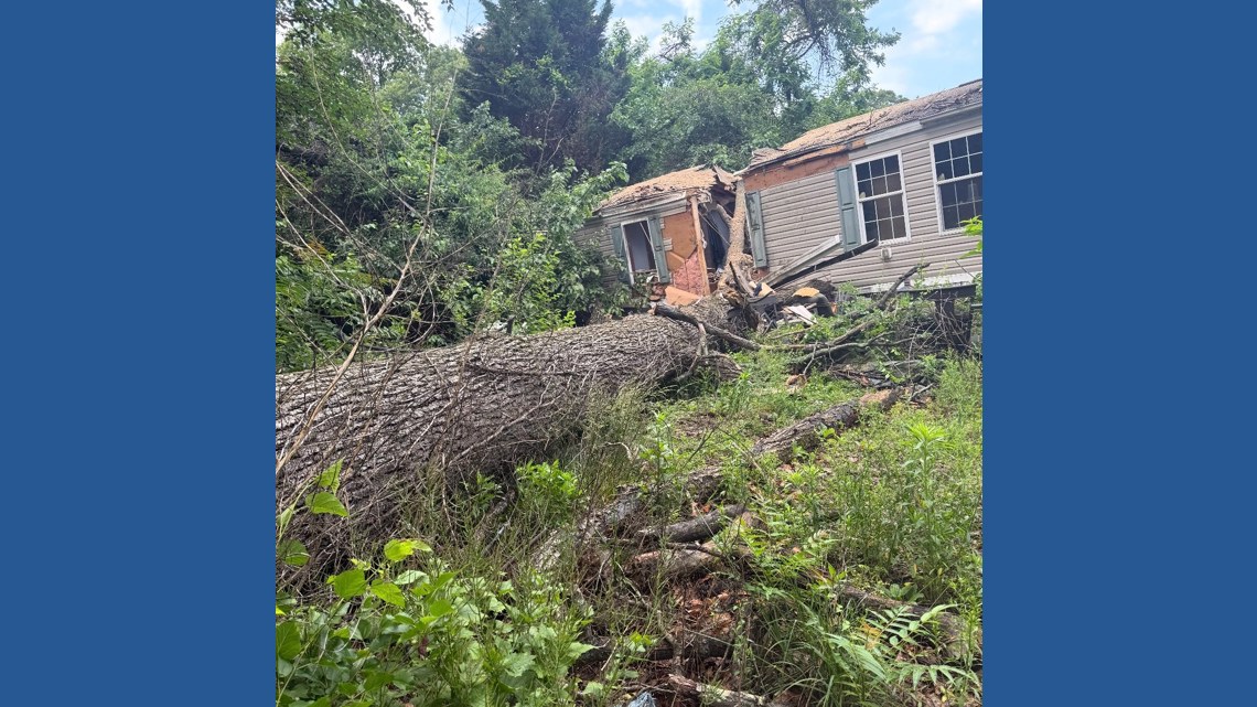 Tree crashes into Pasadena home | wusa9.com