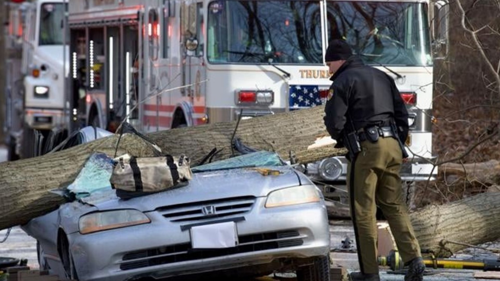 Tree falls, kills driver in Maryland Friday | wusa9.com