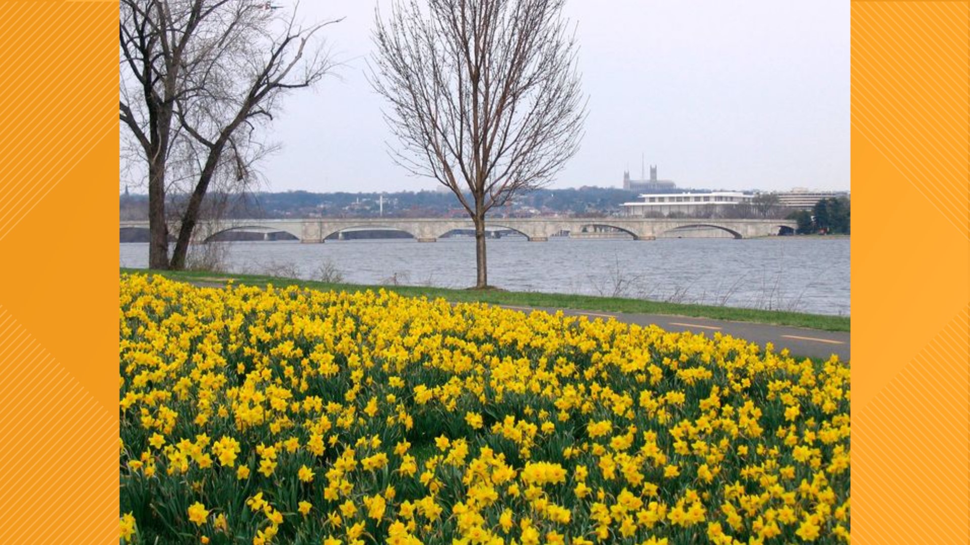 Where to to see the blue supermoon in DC, Virginia | wusa9.com