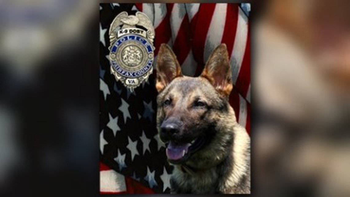 Fairfax Co. police mourn death of K-9 officer 'Doby' | wusa9.com