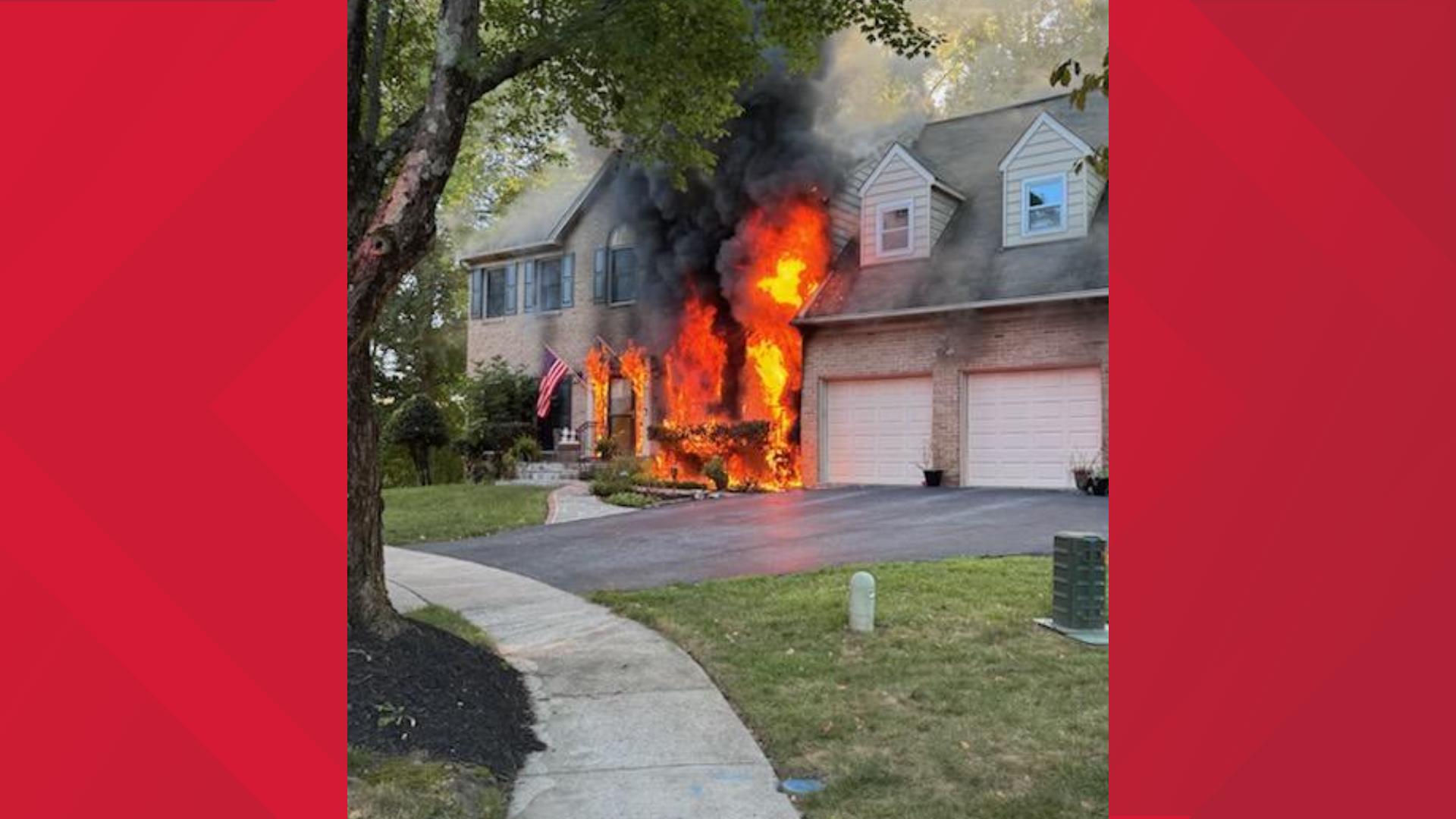 Family dog rescued from Silver Spring fire | wusa9.com