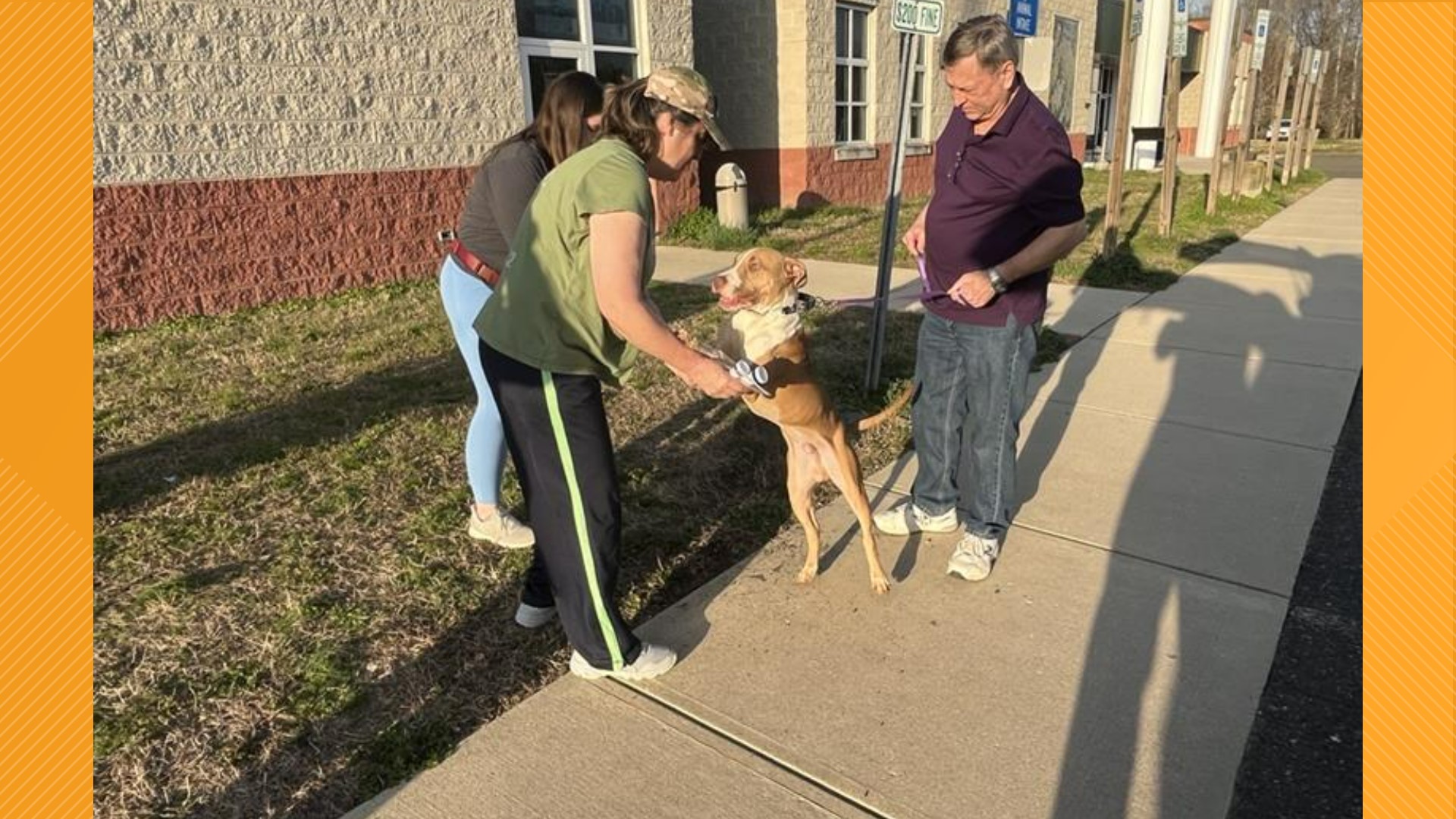 EXCLUSIVE: Lea Thompson Ready to Revive Her '90s Sitcom 'Caroline in ...