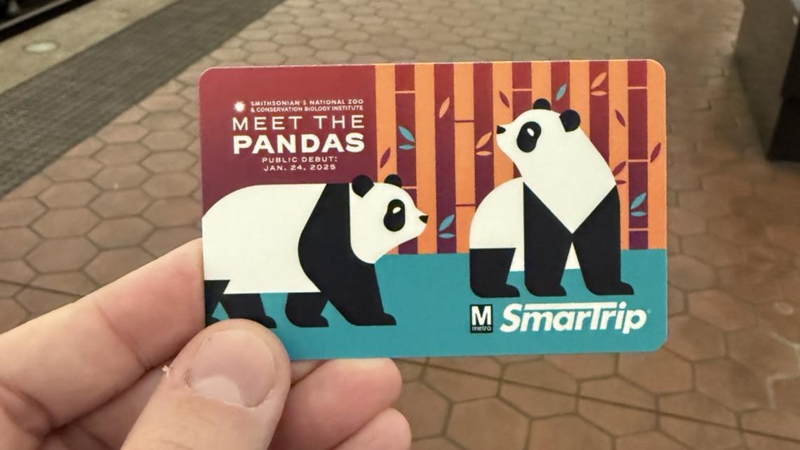 Where can I buy the custom National Zoo panda Metro card? | wusa9.com