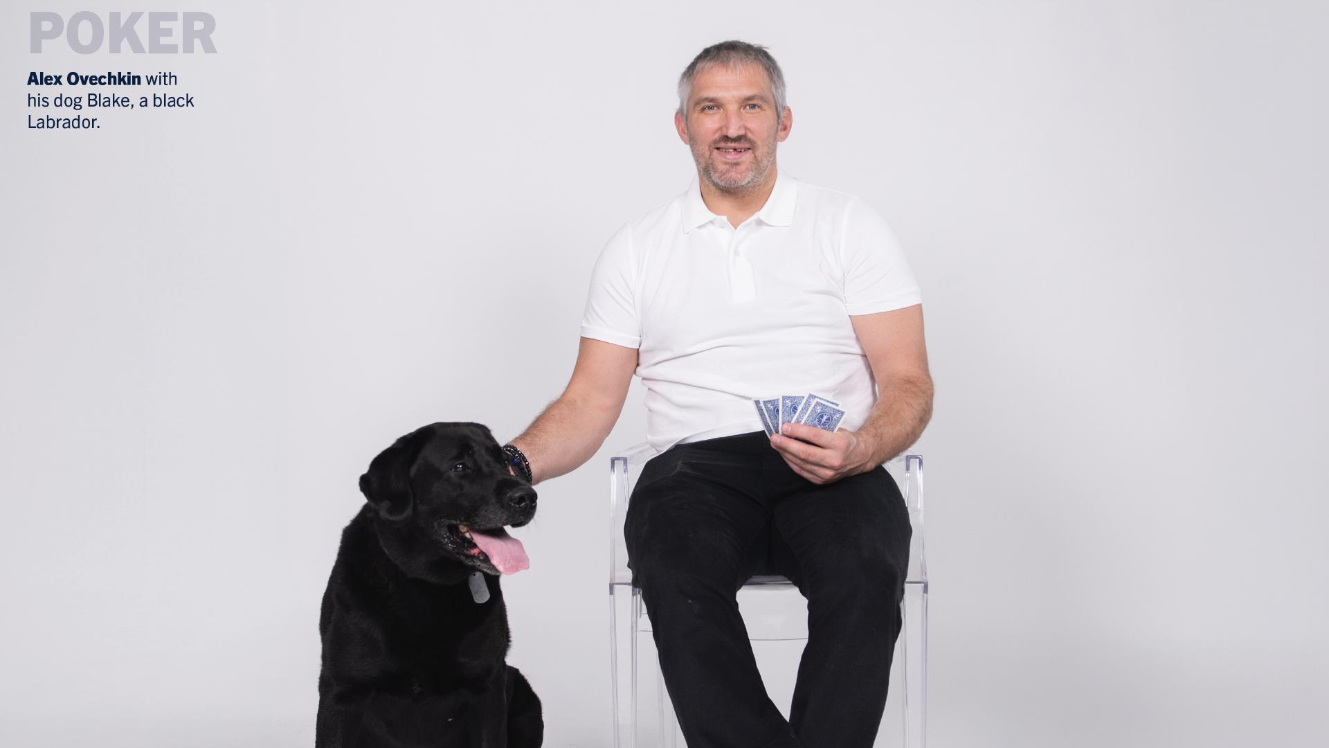 Pups and Caps: Capitals canine calendar is available for purchase ...