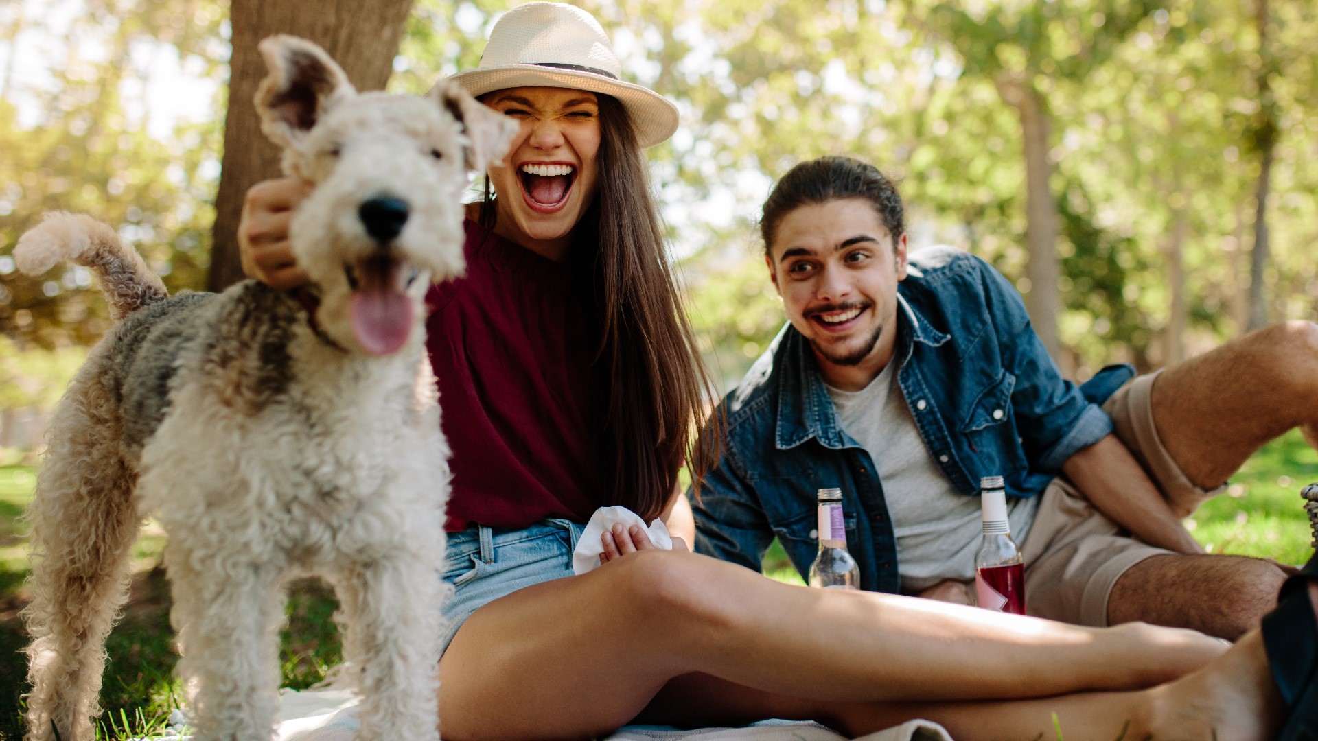 9 things to do in the DMV over the weekend | June 10-12 | wusa9.com