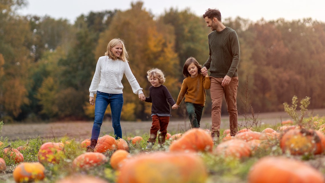 Pumpkin patches, fall festivals to celebrate the season near DC | wusa9.com