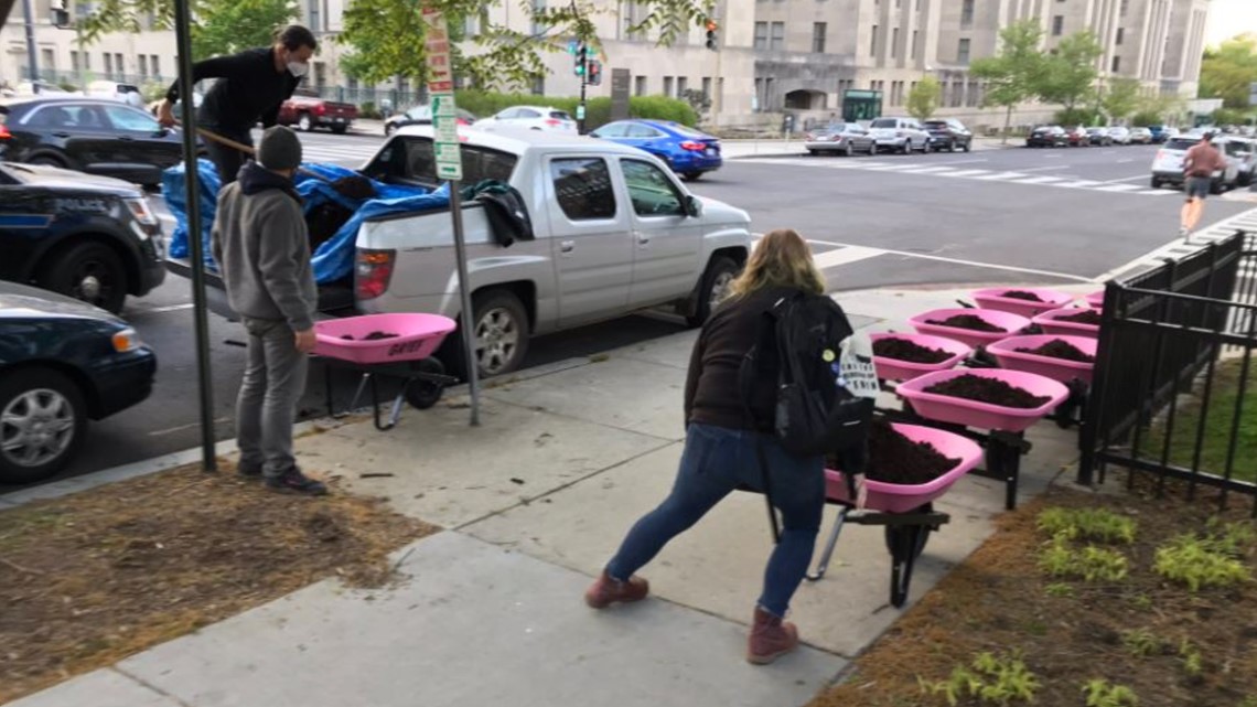 Earth Day 2021: Protester dump cow poop at White House entrance | wusa9.com