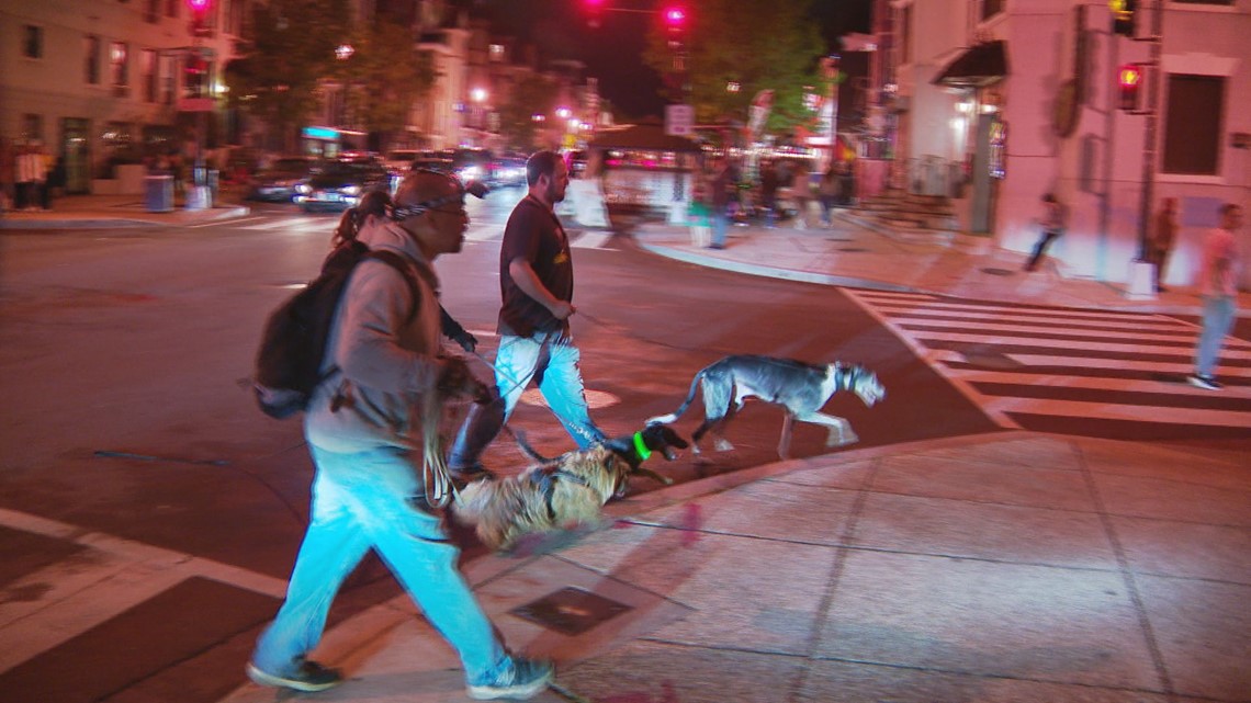Urban hunting: Dogs tackling rats in Adams Morgan | wusa9.com