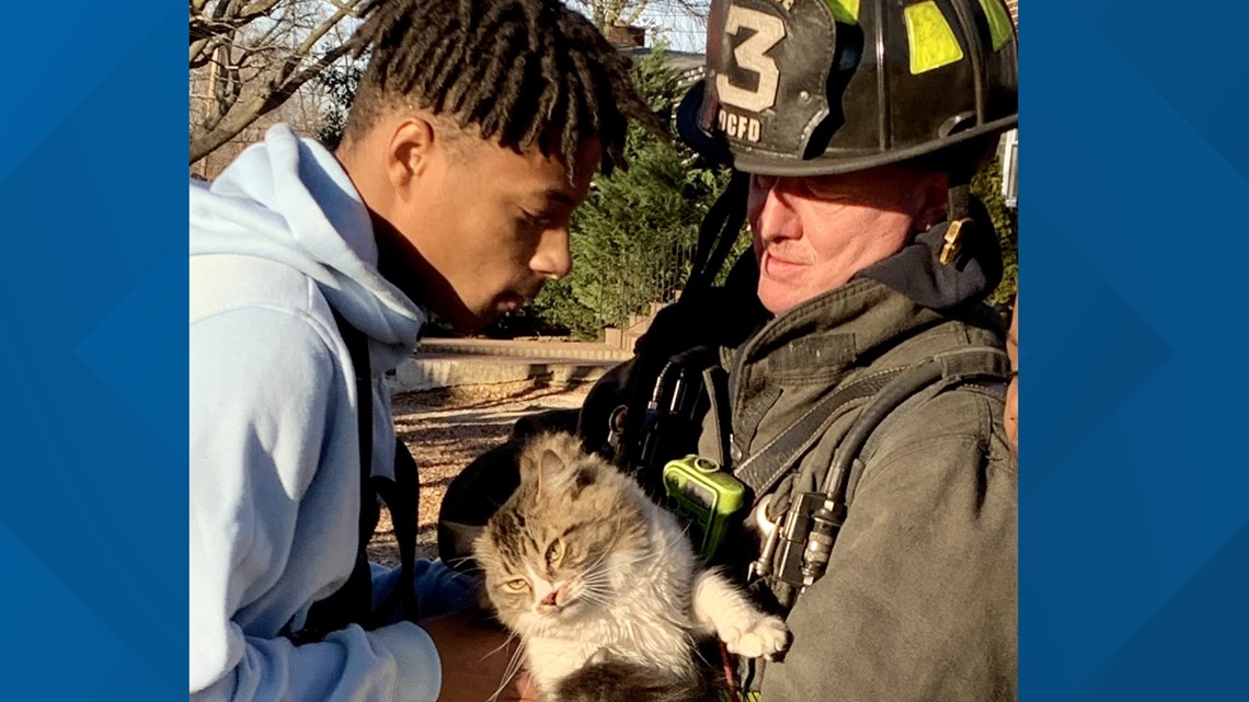 Cats rescued from apartment fire in Southeast DC | wusa9.com