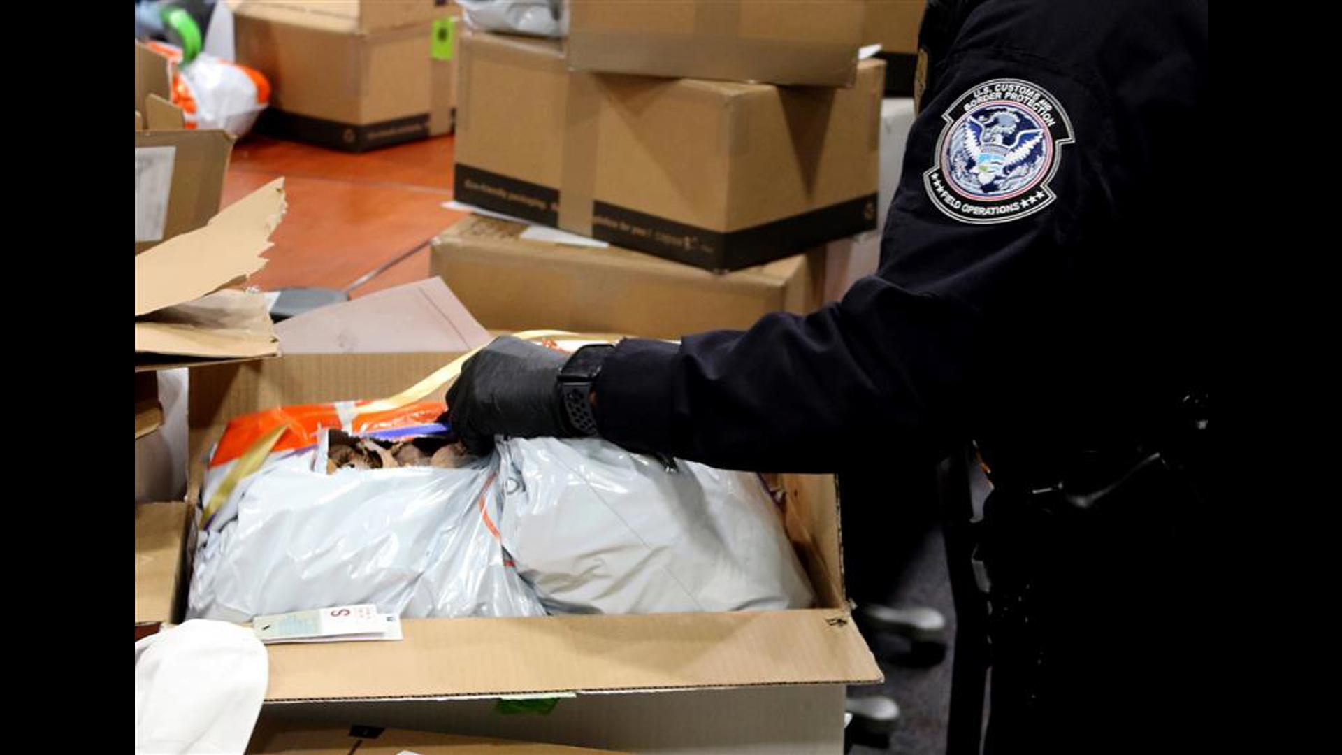 Poppy pods seized at Dulles Airport after smuggling attempt | wusa9.com