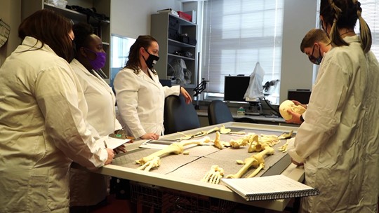 George Mason University builds body farm for forensic science | wusa9.com