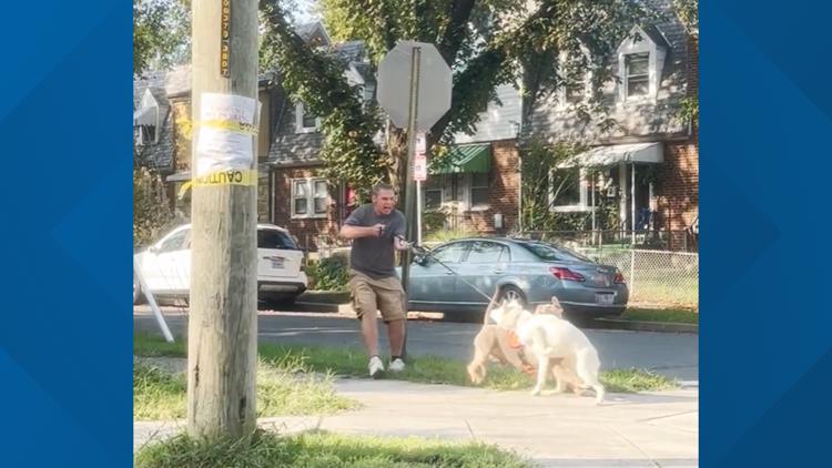 Firehook Bakery to close Alexandria, Dupont, Chantilly locations ...