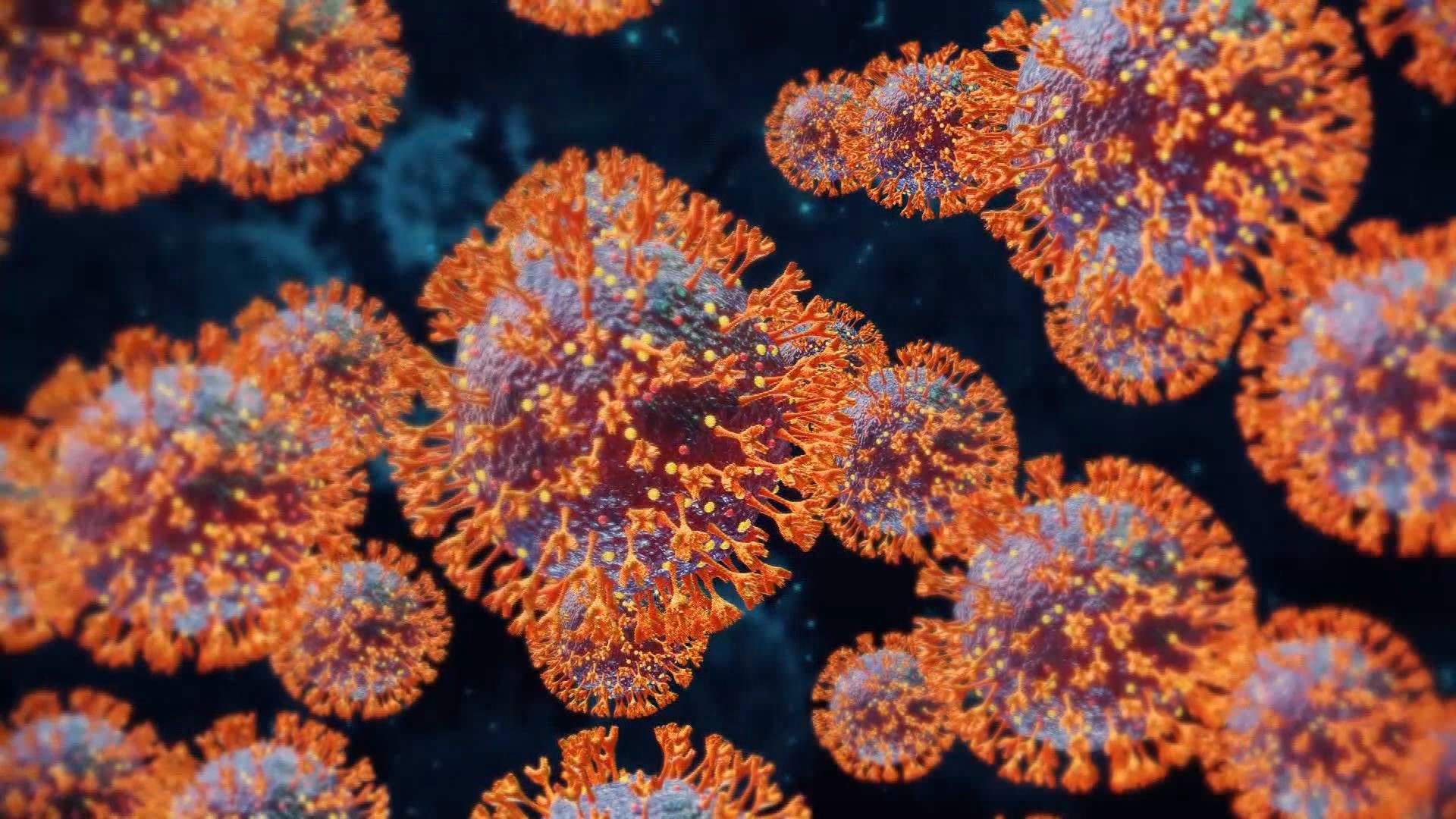 Stan Kirsch, Richie on TV's 'Highlander,' dead at 51 | wusa9.com