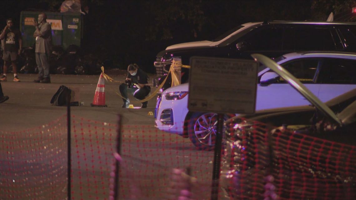 National Zoo panda cam Washington DC snow Giant Pandas enjoy snow ...