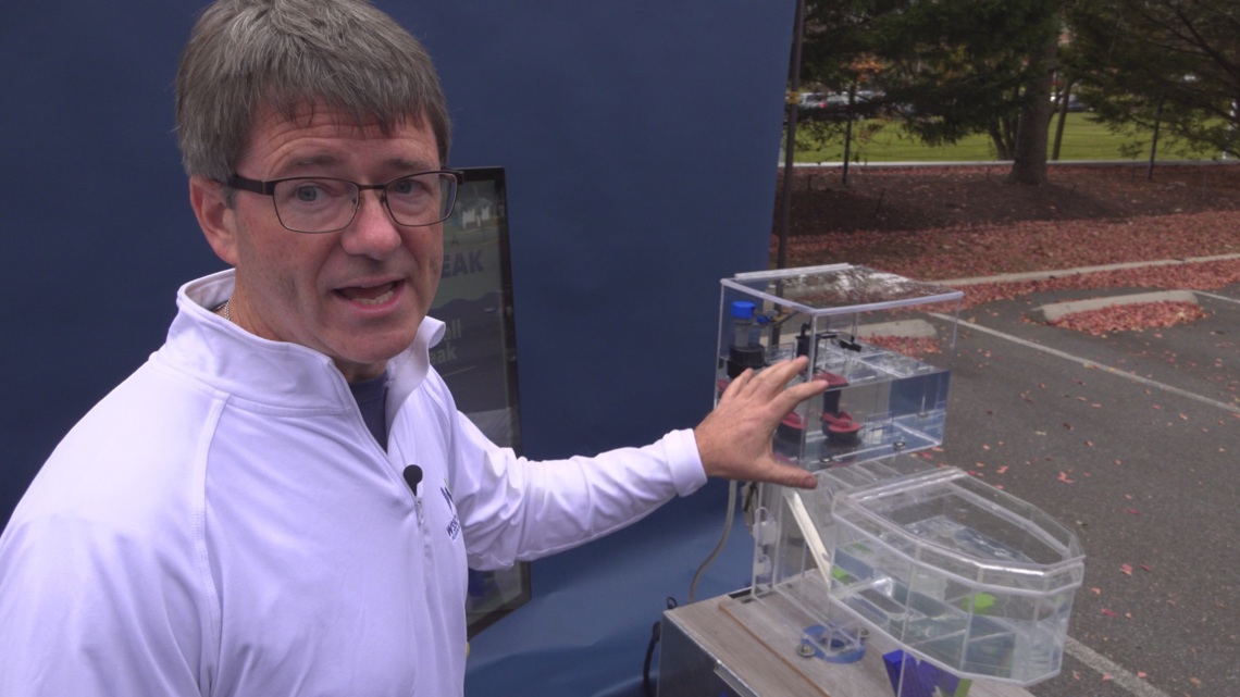 How to reduce high water bill costs from leaking toilets | wusa9.com