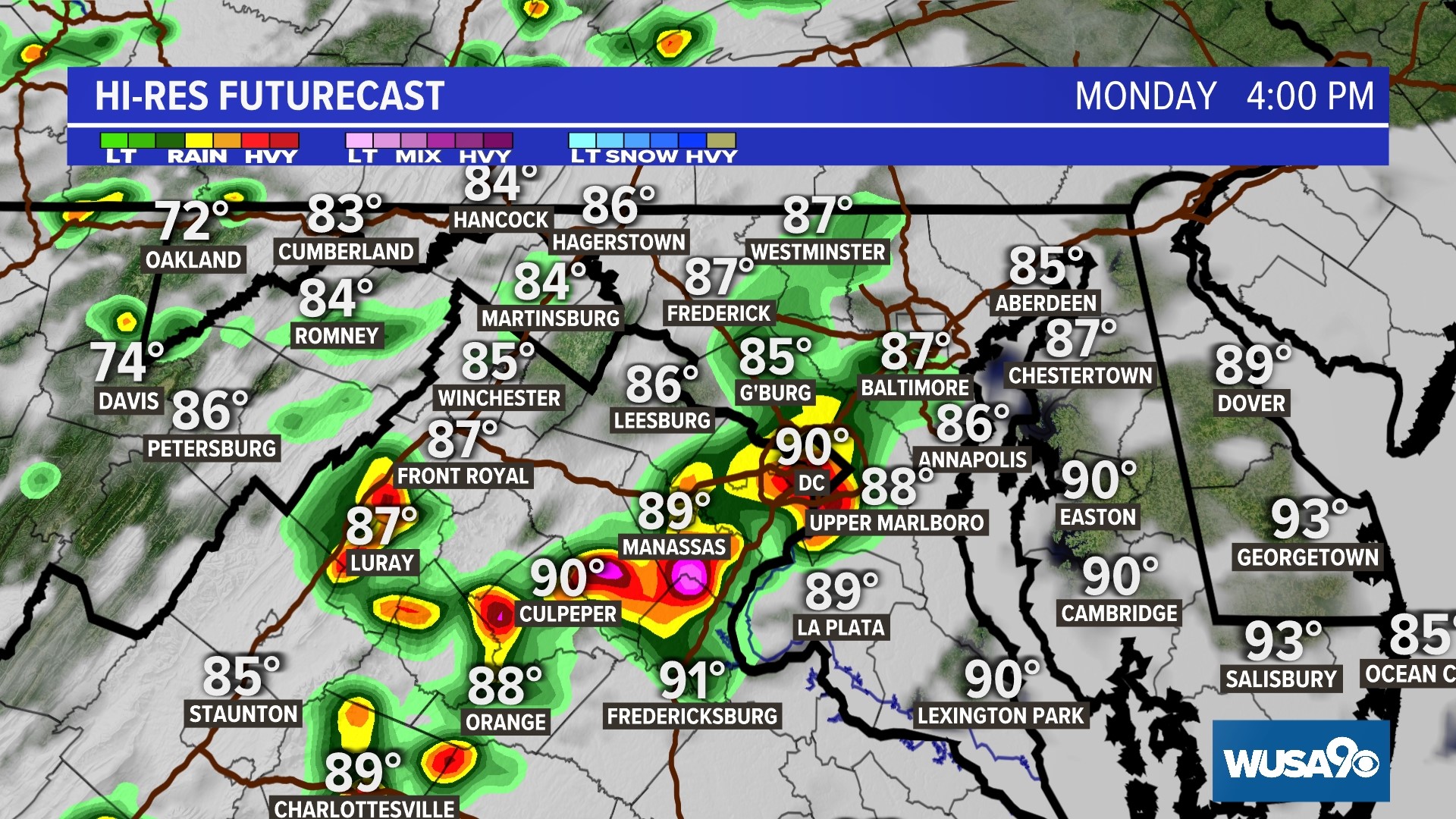 Holey Crap: Paleontologist discover an extremely rare fossil | wusa9.com