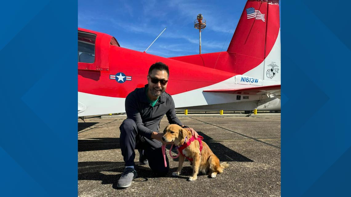 Pilot dies in plane crash transporting dogs from Maryland | wusa9.com