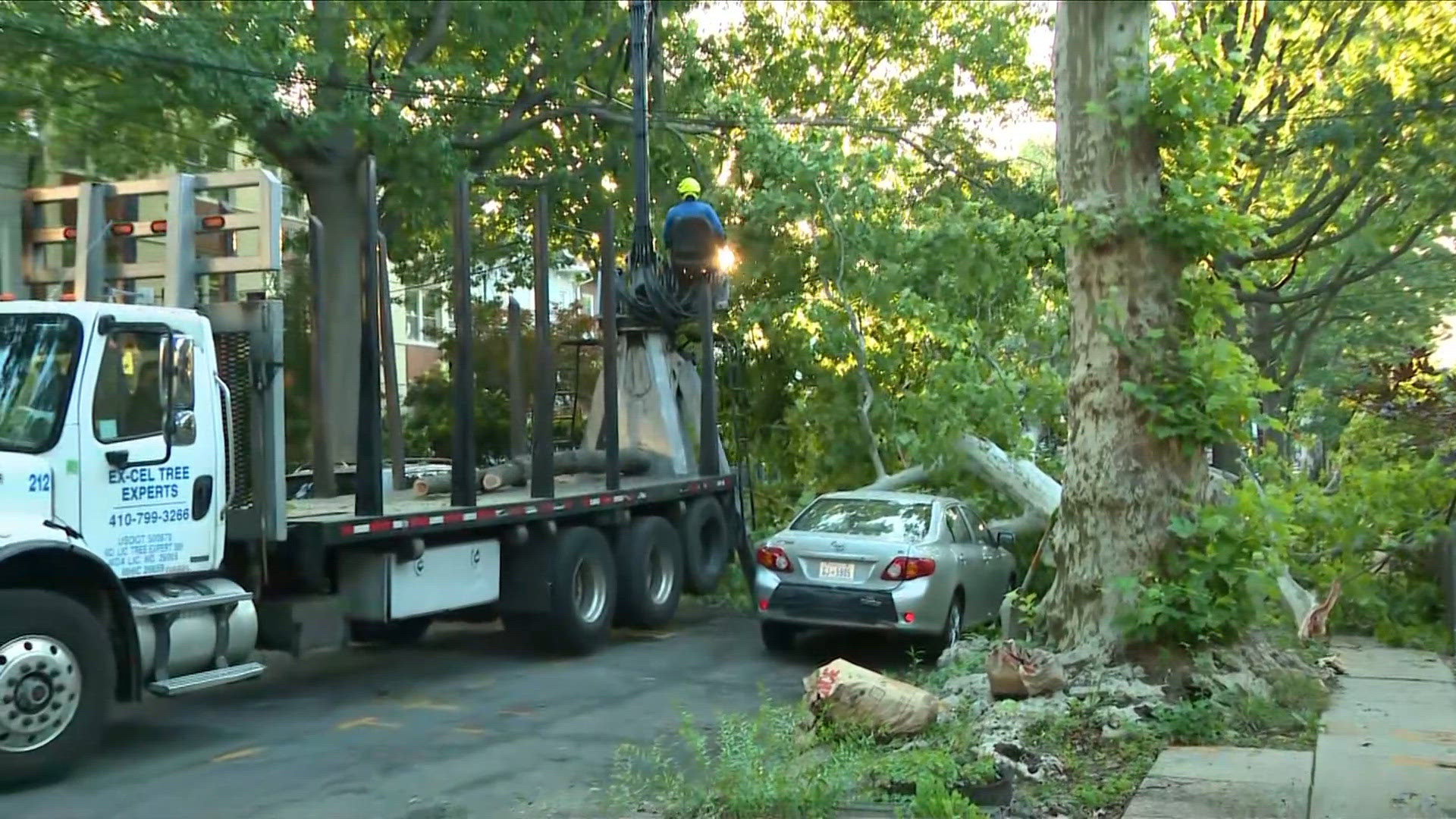 2 dead from fallen trees as strong storms slam DC region | wusa9.com