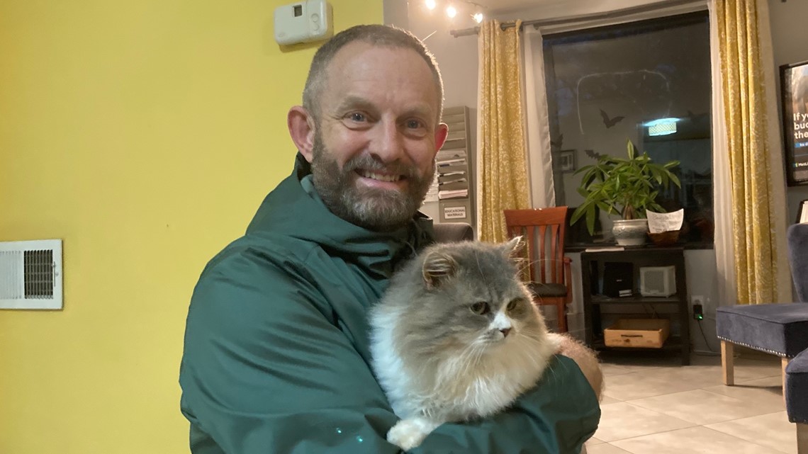 24 cats being rescued from Ukraine coming to DMV for new homes | wusa9.com