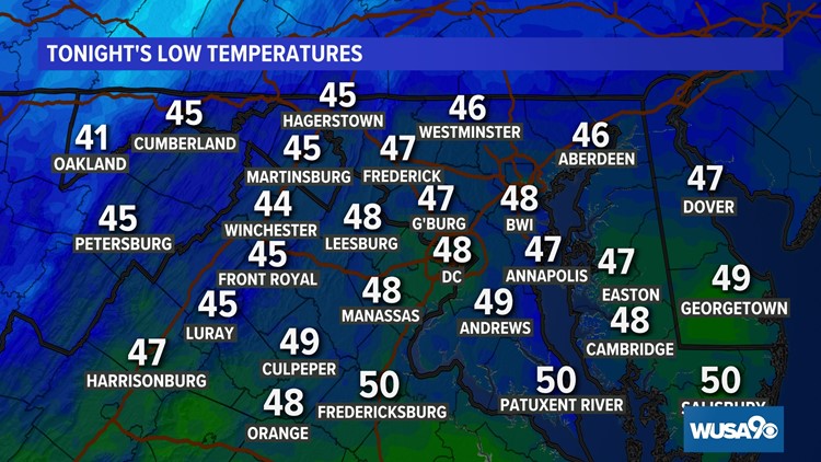How to stop robocalls and protect yourself from scams | wusa9.com