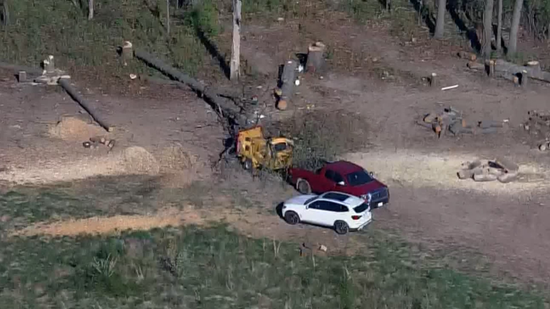 Man dies after being hit by falling tree in Virginia | wusa9.com