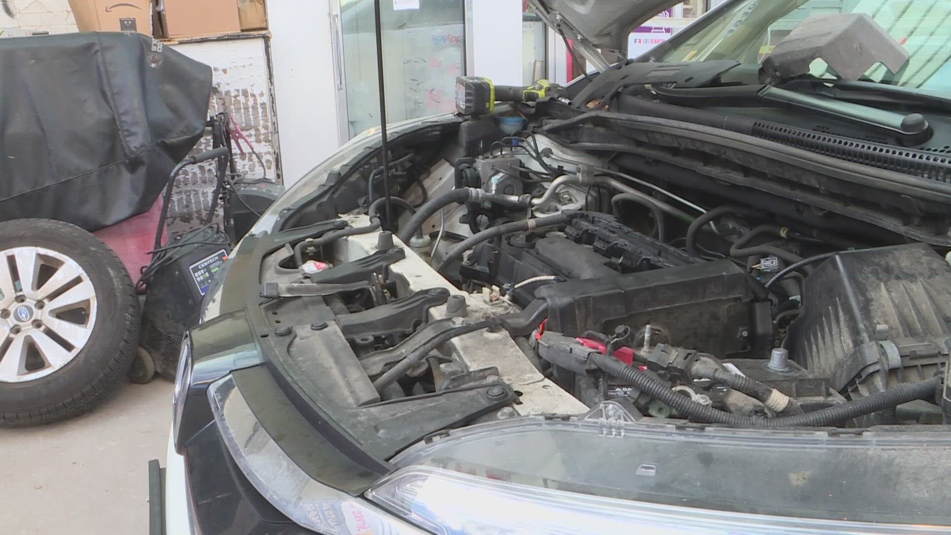 Cold weather causing rats to damage cars as they chew the wires | wusa9.com