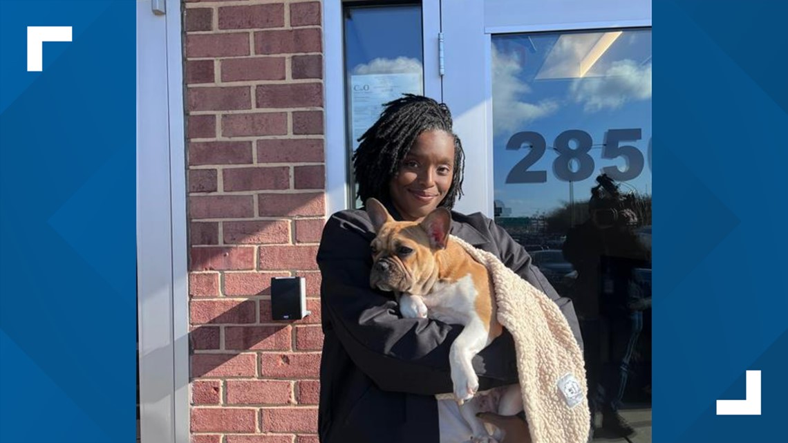 Stolen French bulldog found in DC | wusa9.com