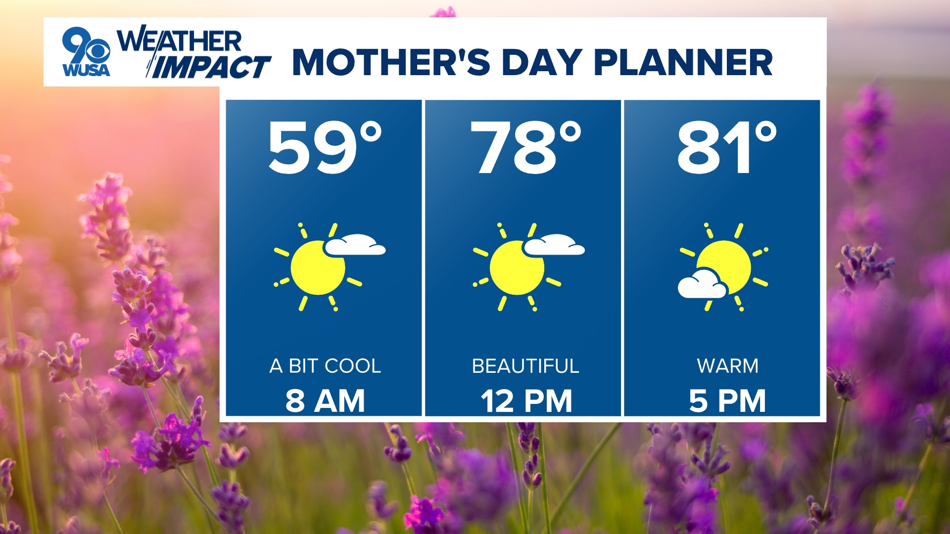 Enjoy sunny and warm weather this weekend | wusa9.com