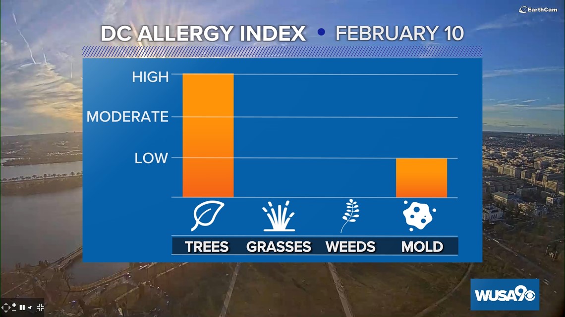 High Pollen Counts Recorded In The DMV Wusa9 high-pollen-counts-recorded-in-the-dmv-wusa9