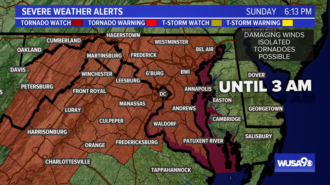Severe weather safety: Dangers of strong winds toppling trees | wusa9.com Severe weather safety: Dangers of strong winds toppling trees | wusa9.com