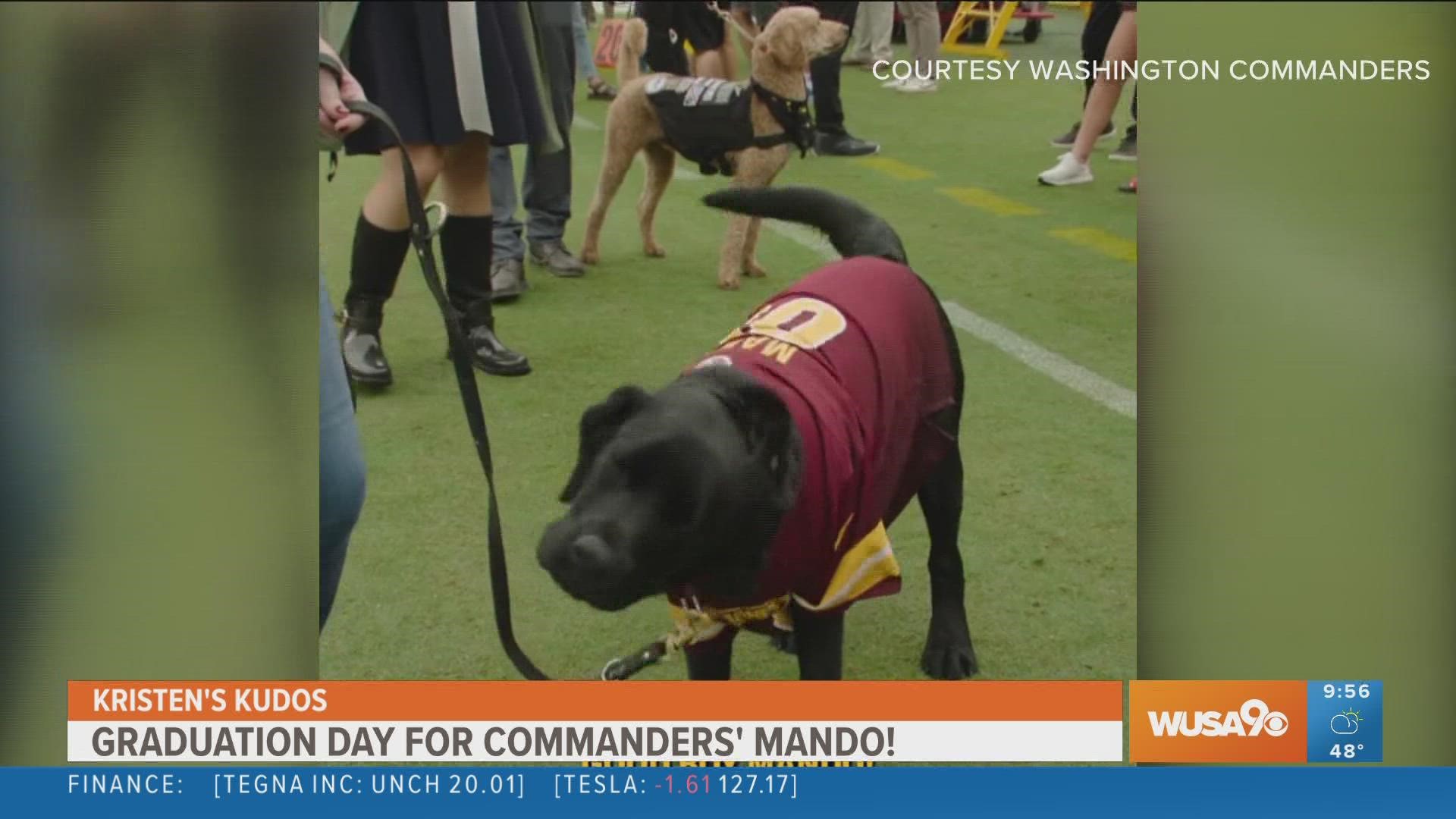Graduation Day for Commanders' service dog in training "Mando" | wusa9.com
