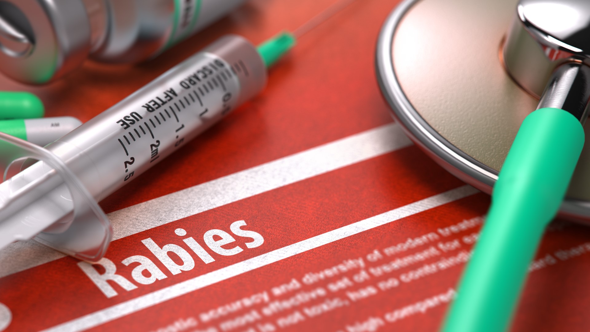 Rabies confirmed in two skunks in St. Mary's County | wusa9.com