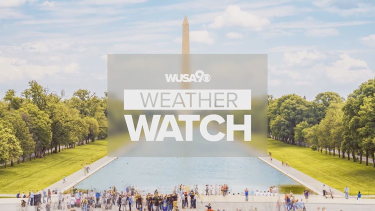 Washington, DC's Leading Local News: Weather, Traffic, Sports and more ...