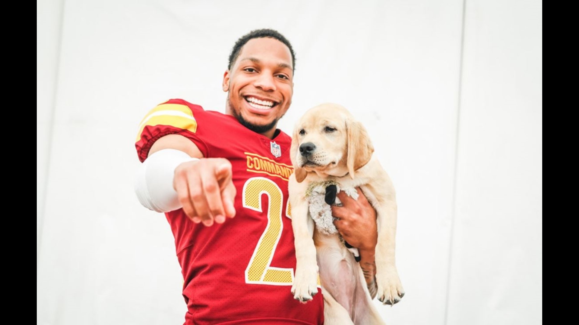 Meet the Washington Commanders' new Team Dog: Goldie | wusa9.com