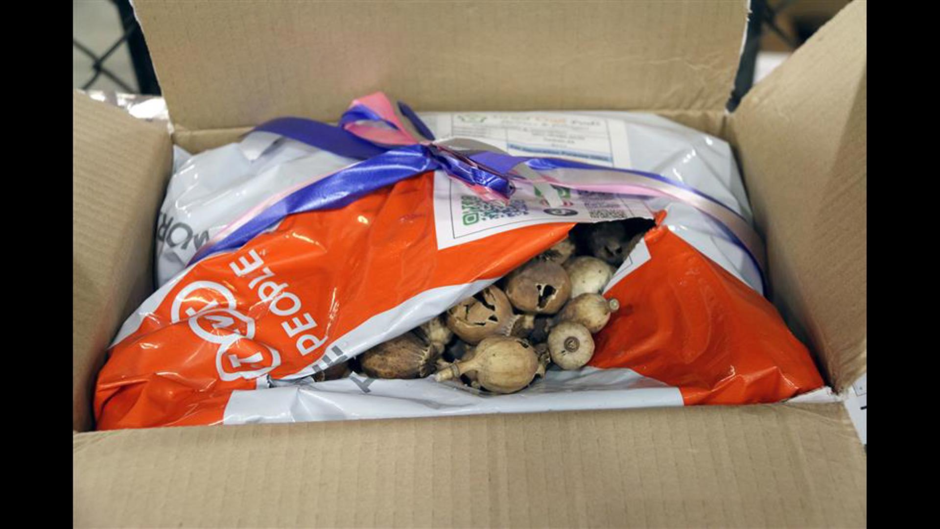 Poppy pods seized at Dulles Airport after smuggling attempt | wusa9.com