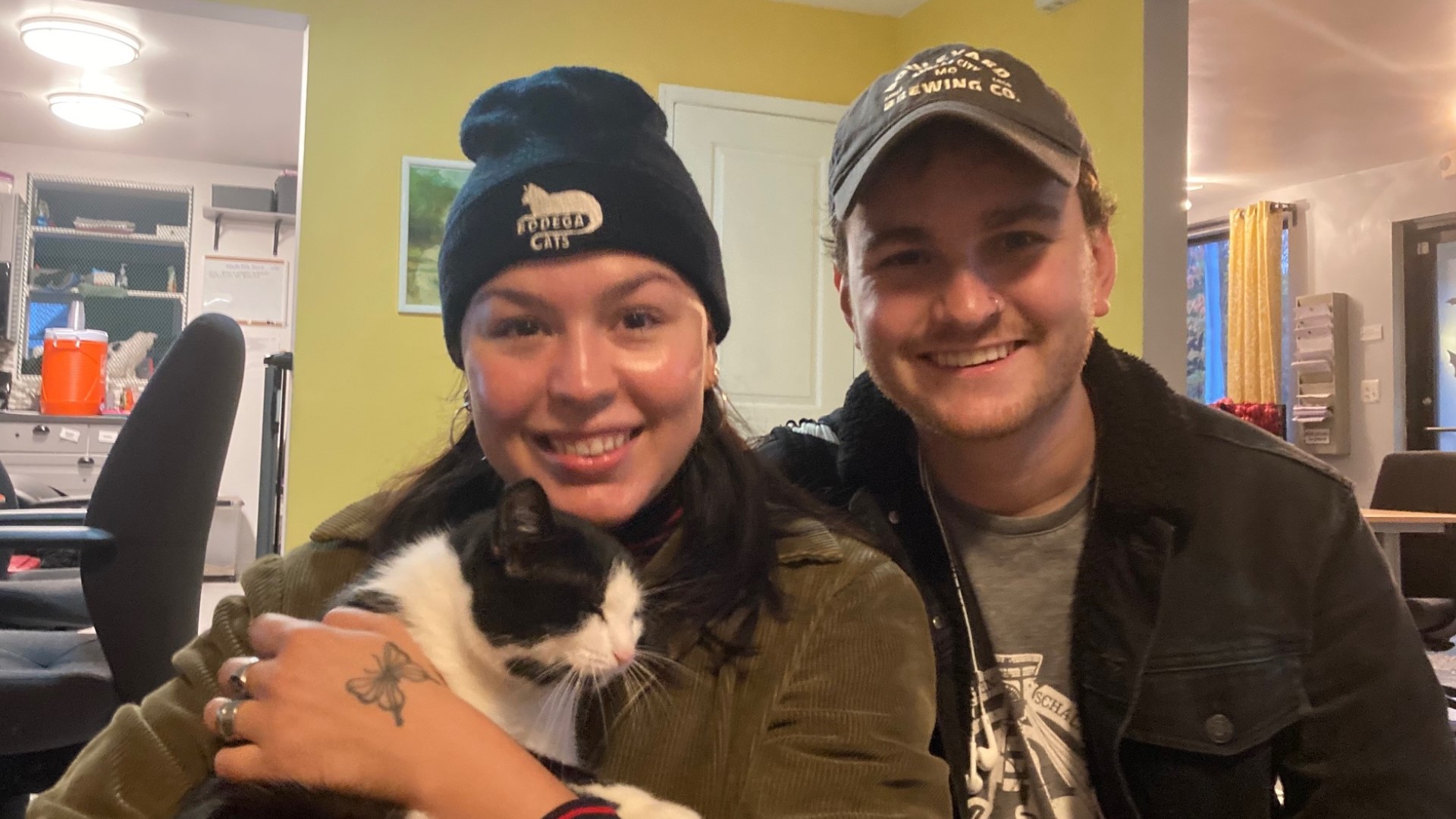 24 cats being rescued from Ukraine coming to DMV for new homes | wusa9.com