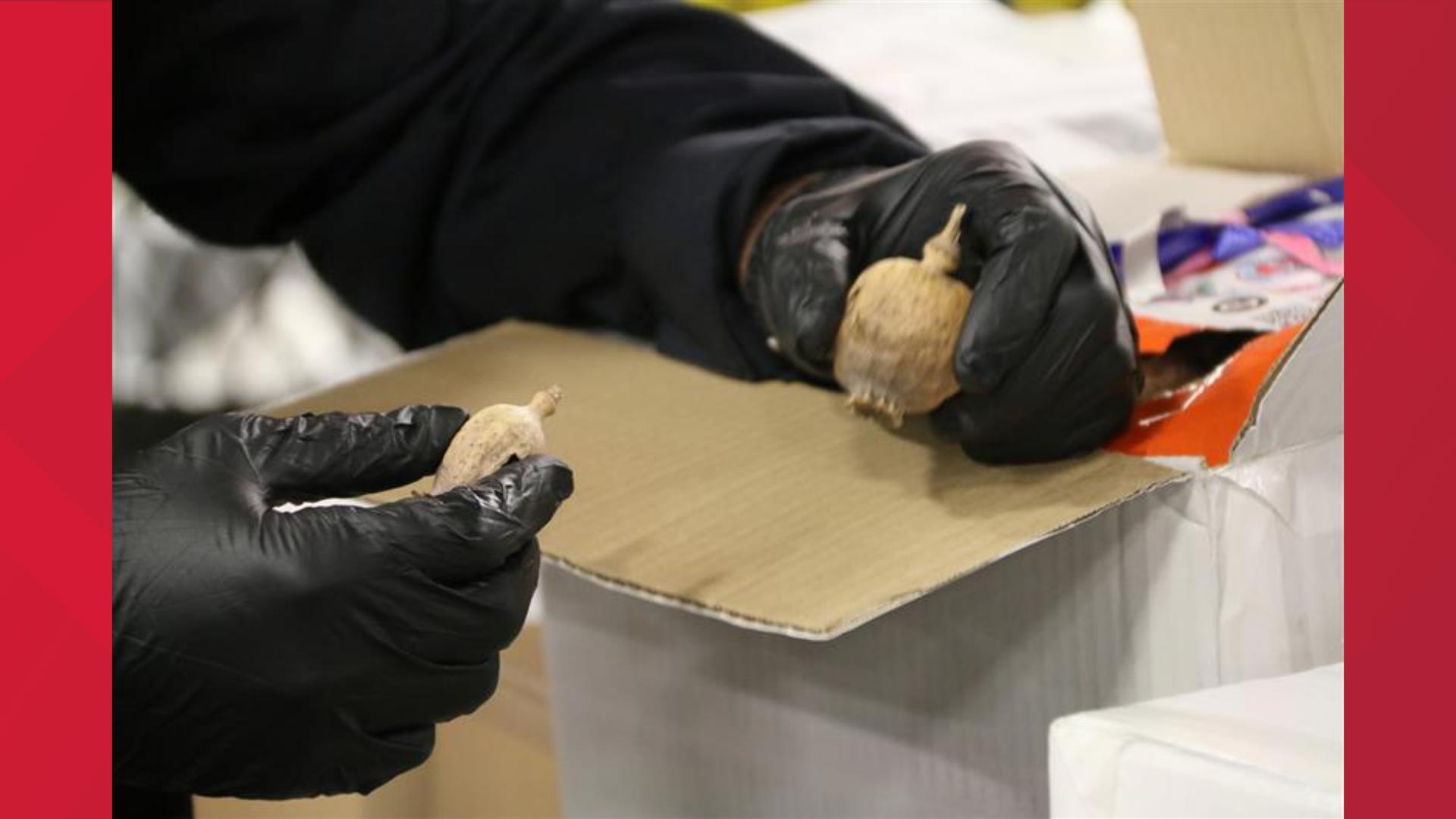 Poppy pods seized at Dulles Airport after smuggling attempt | wusa9.com