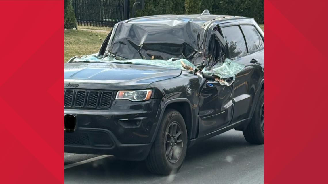 27-year-old driver hospitalized after tree crushes his vehicle | wusa9.com